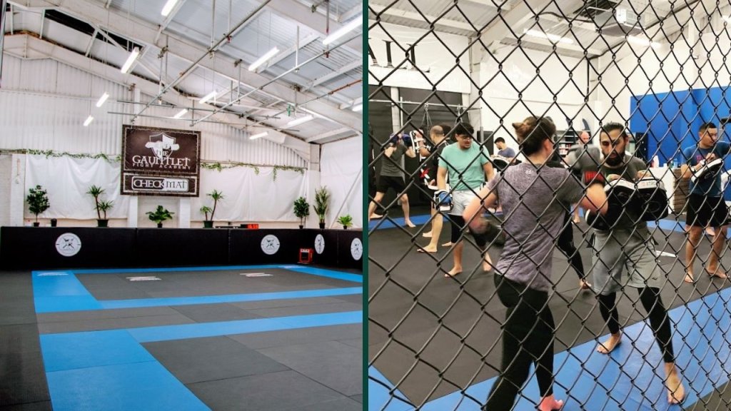 6 Best MMA Gyms in London Near You (Map): Train Like a Pro