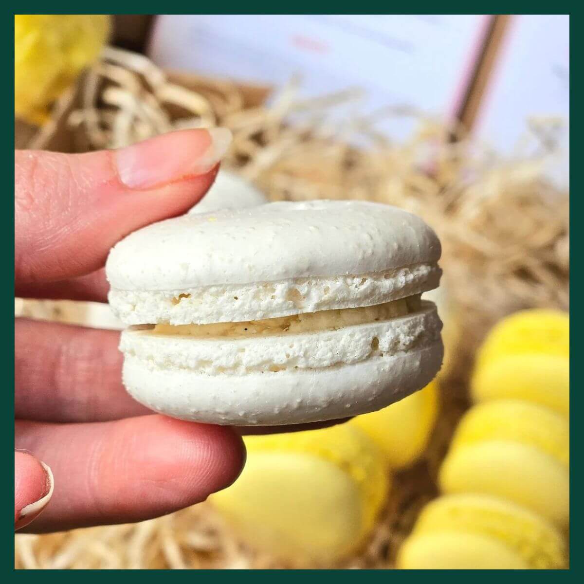 Macarons in London: The Sweet Tour You Can't Miss!